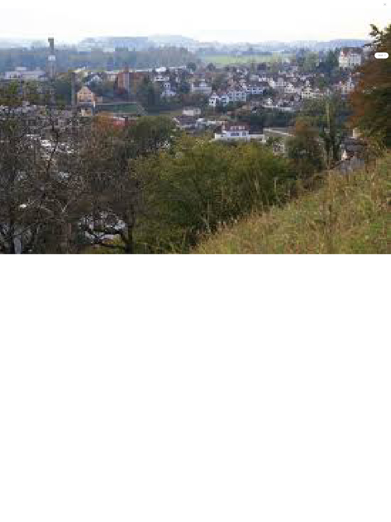 Tann - Google Search-1 | PDF