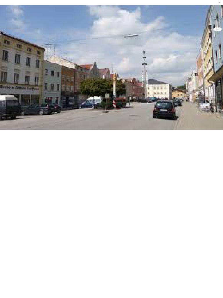 Tann - Google Search | PDF