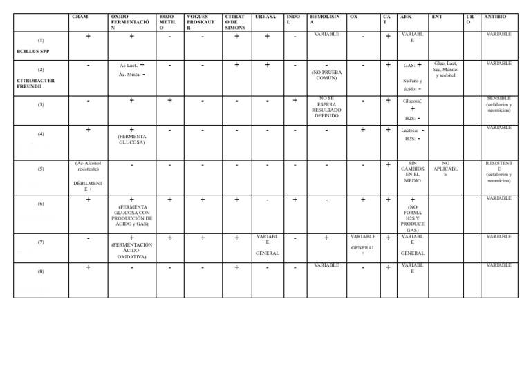 Pruebas Bioquimicas Micro | PDF