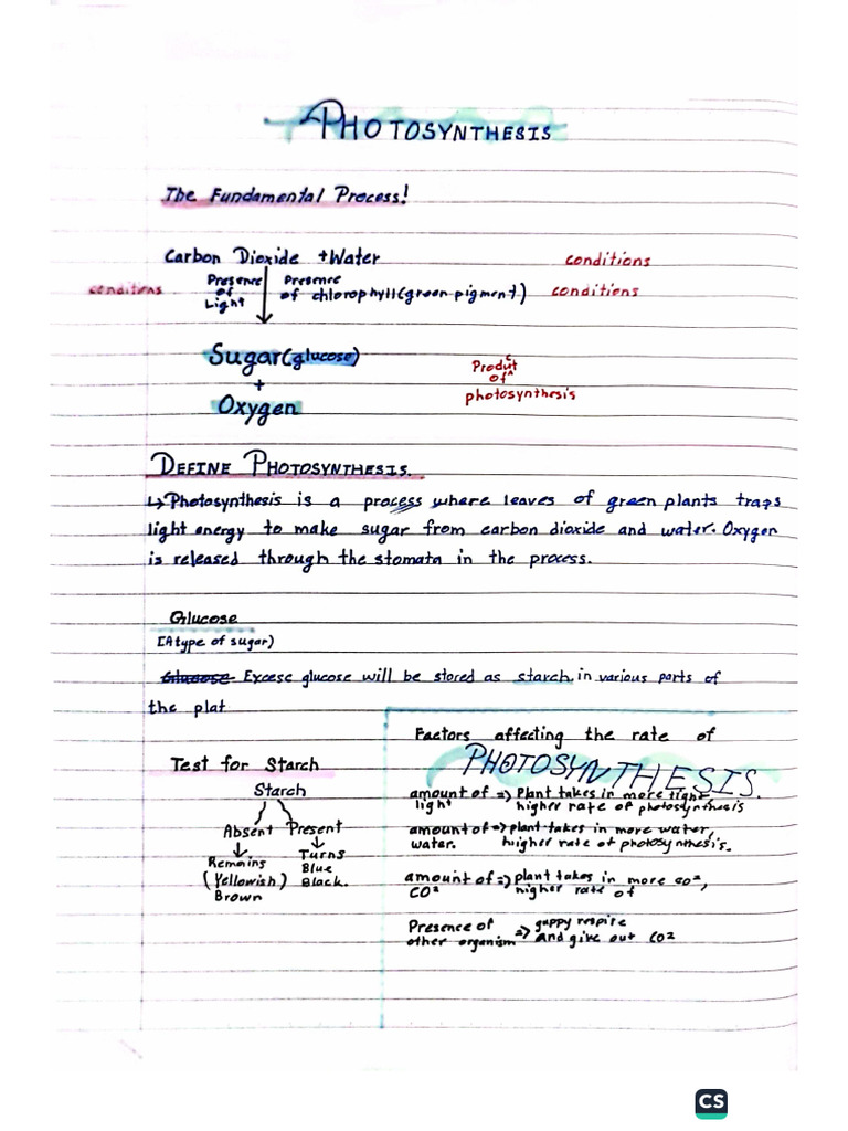 PSLE Mini Notes | PDF