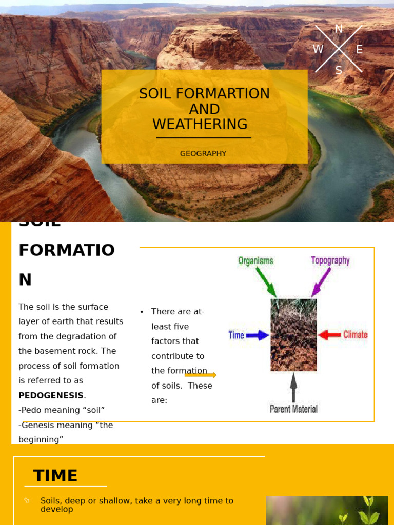 Soil Formation & Weathering Basics | PDF | Weathering | Soil