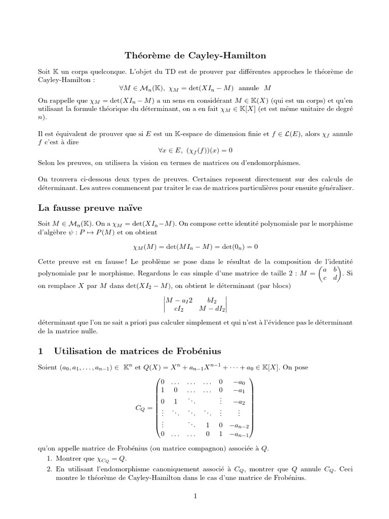 TD4 Cayley Hamilton | PDF