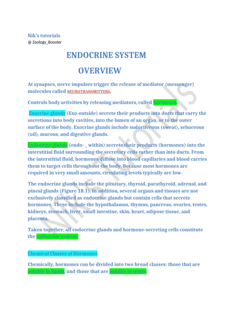 Endocrine System. Part 1 | PDF