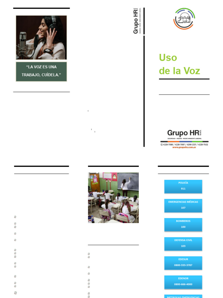 Triptico Uso de La Voz | PDF