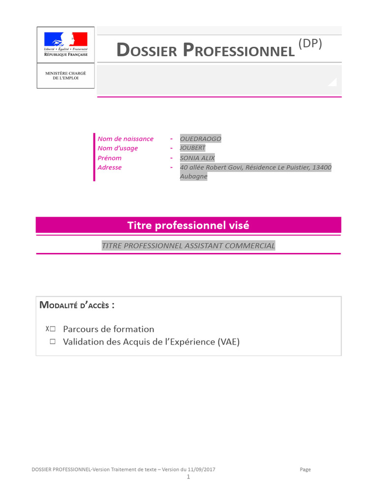 Dossier Professionnel-3 | PDF