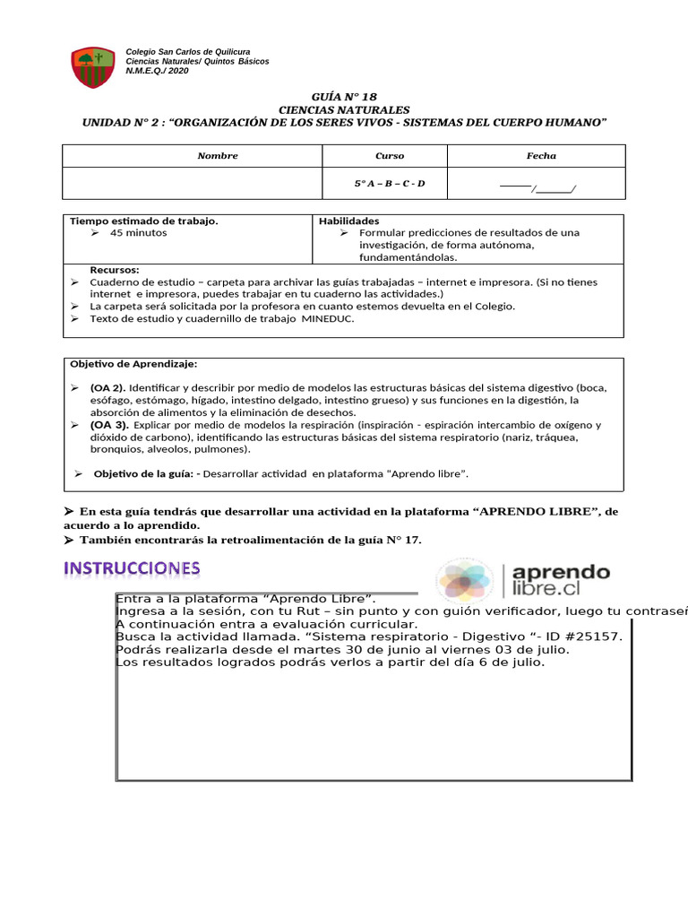 Guia Siste Digest y Respit | PDF