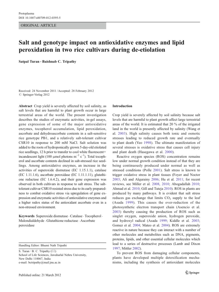 Salt and Genotype Impact On Antioxidative Enzymes and Lipid | PDF
