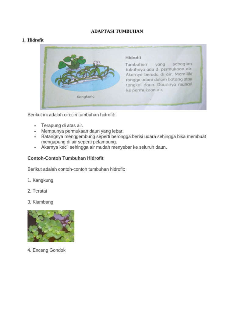 Adaptasi Tumbuhan 1. Hidrofit | PDF