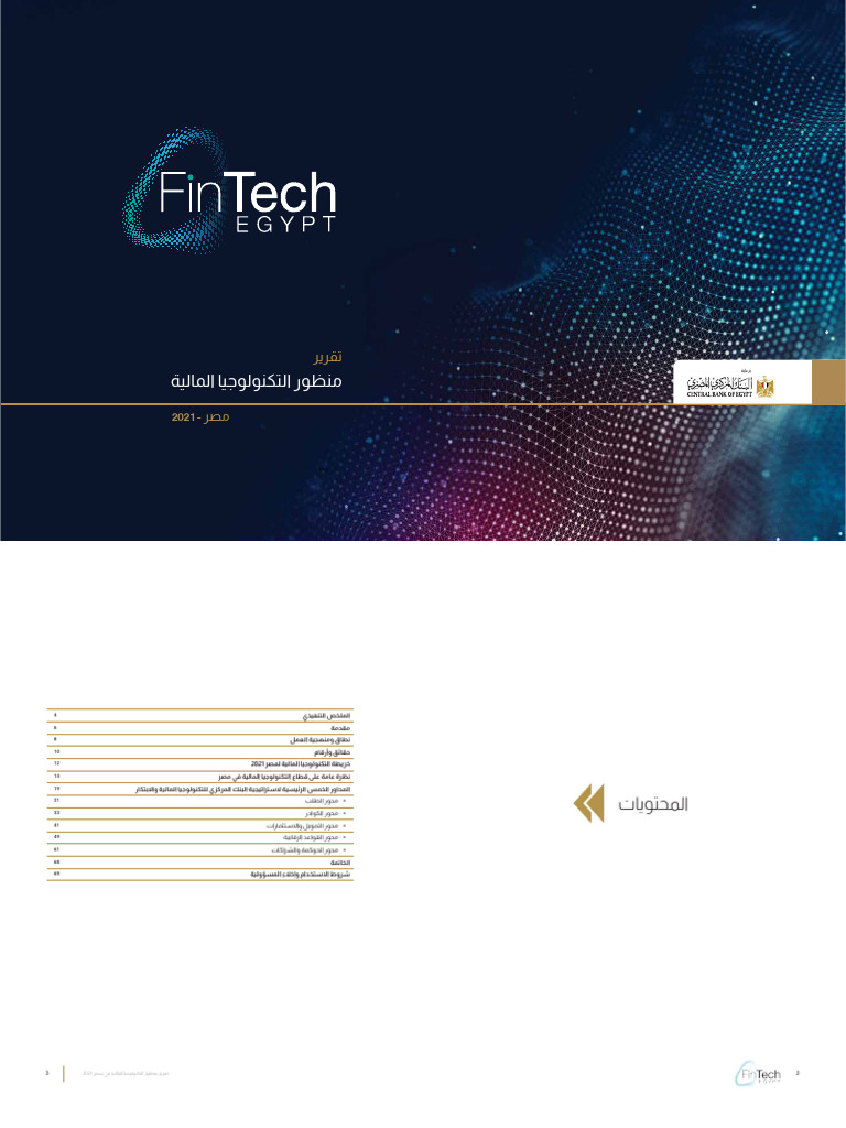 FinTech Overview 2021 Egypt | PDF