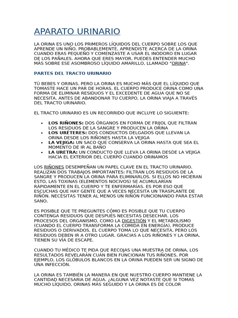 Aparato Urinario | PDF | Sistema urinario | Orina