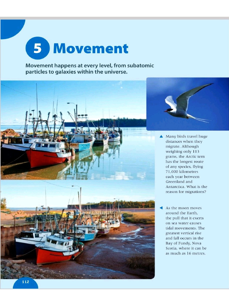 Myp Year 5 Movement | PDF