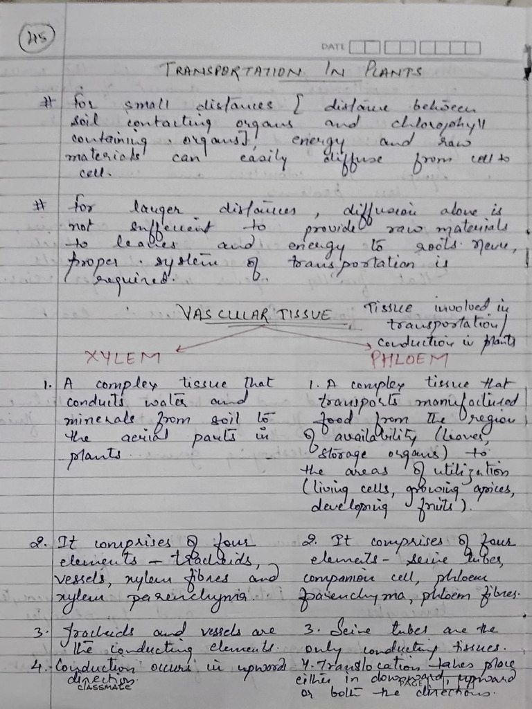 Transportation Notes 05 | PDF