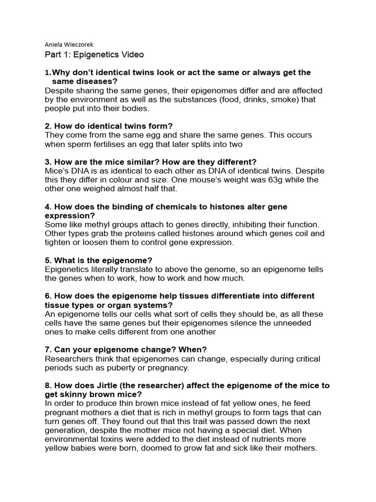 Epigenetics Worksheet Biology HL | PDF