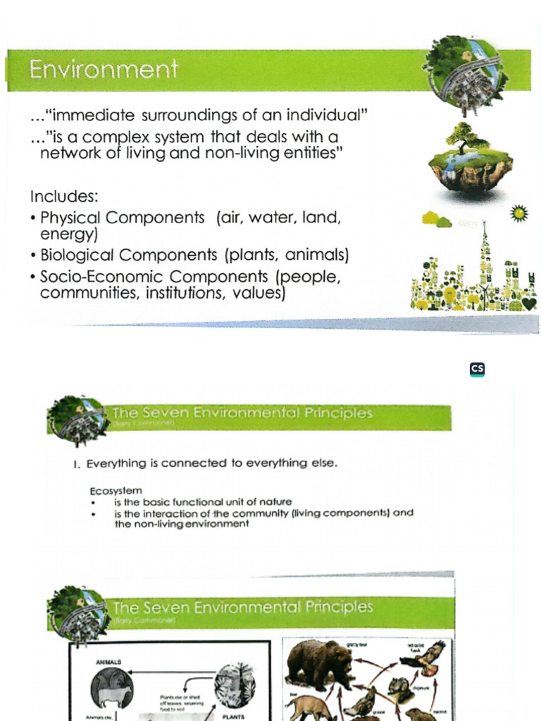Lesson-1-Environmental-Concepts-and-Principles | PDF
