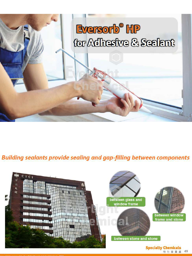 Braschemical - Eversorb Hp6 | PDF