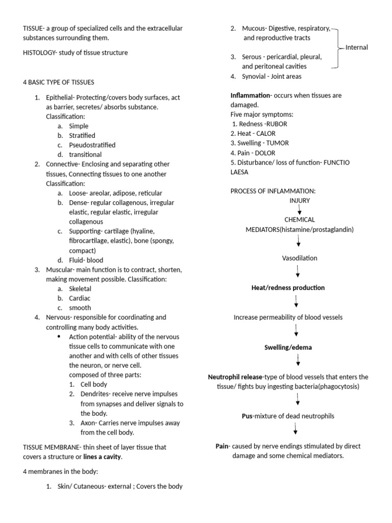Anaphy Reviewer Lec Lab | PDF