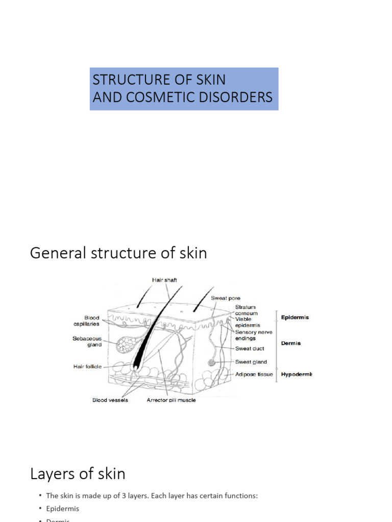 Cosmetics notes | PDF