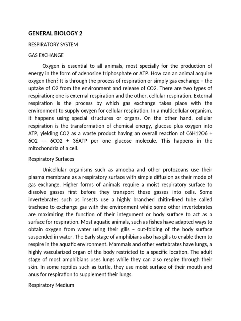 Respiratory System Bio 2 | PDF