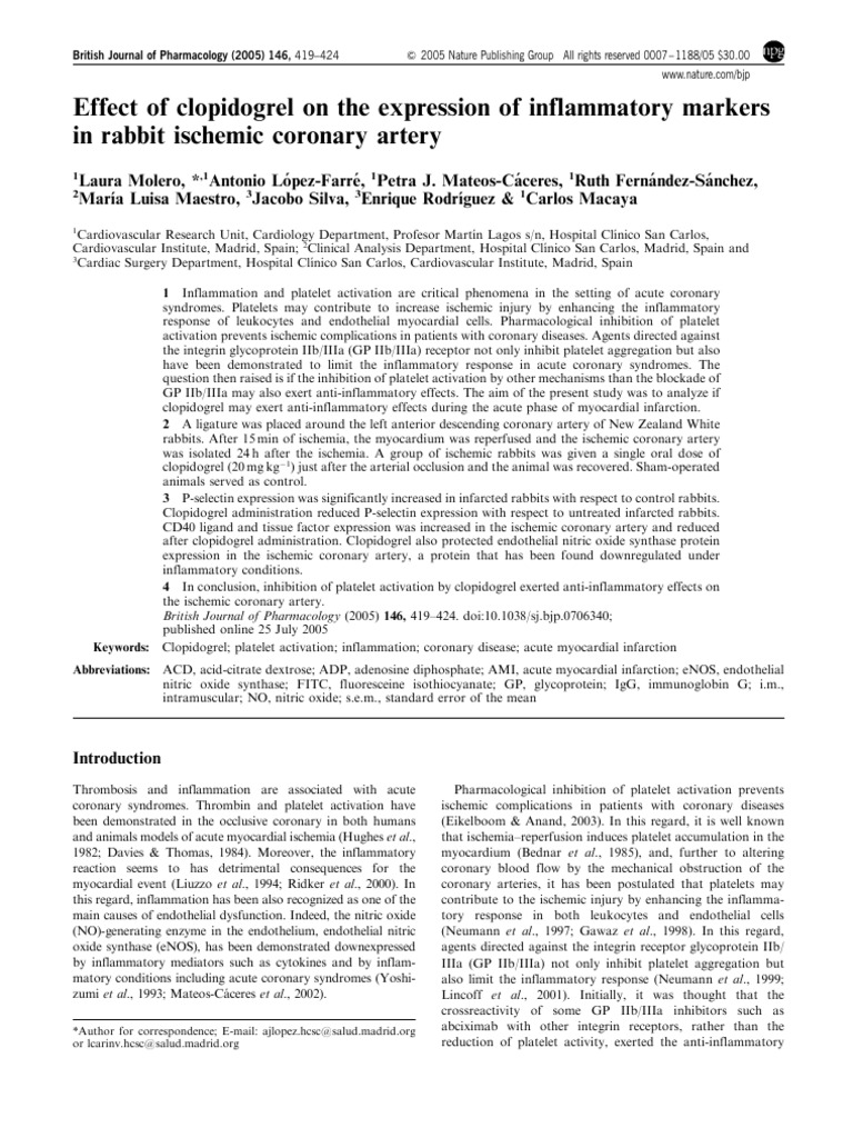 Articulo Clopi | PDF