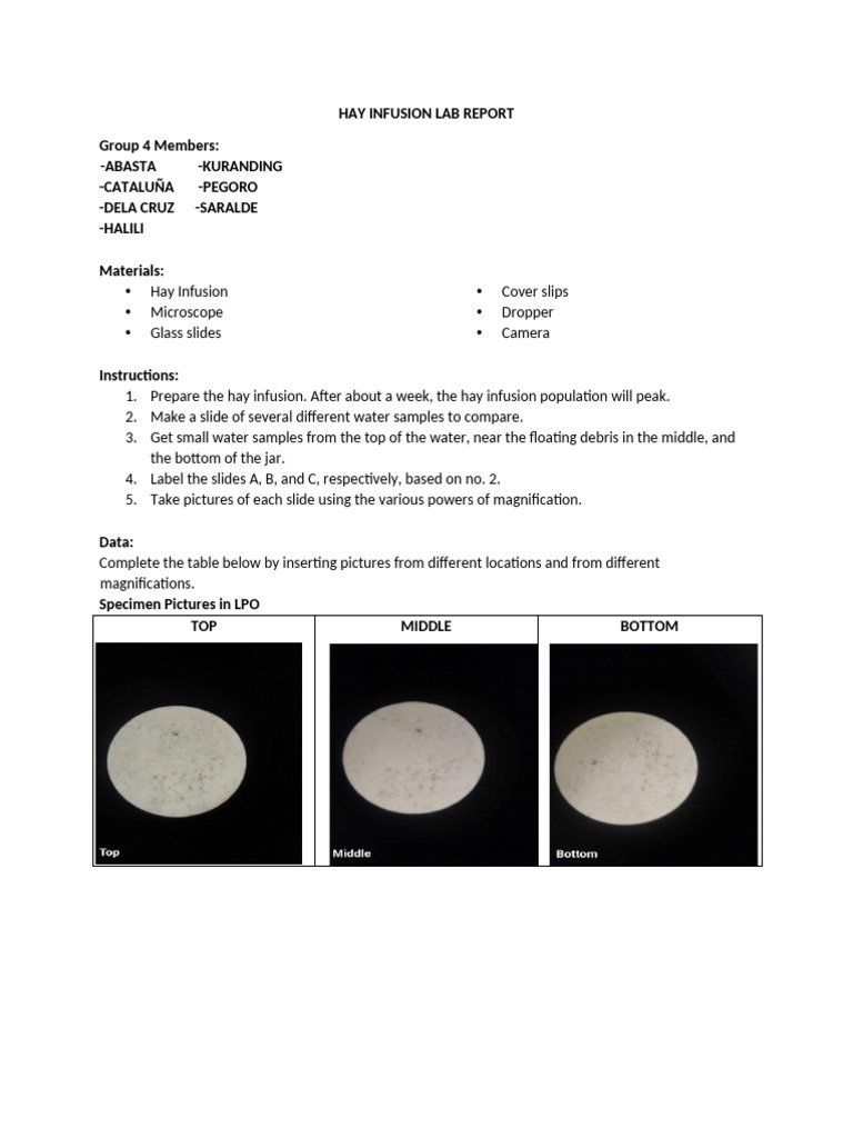 Group 4 Biology | PDF