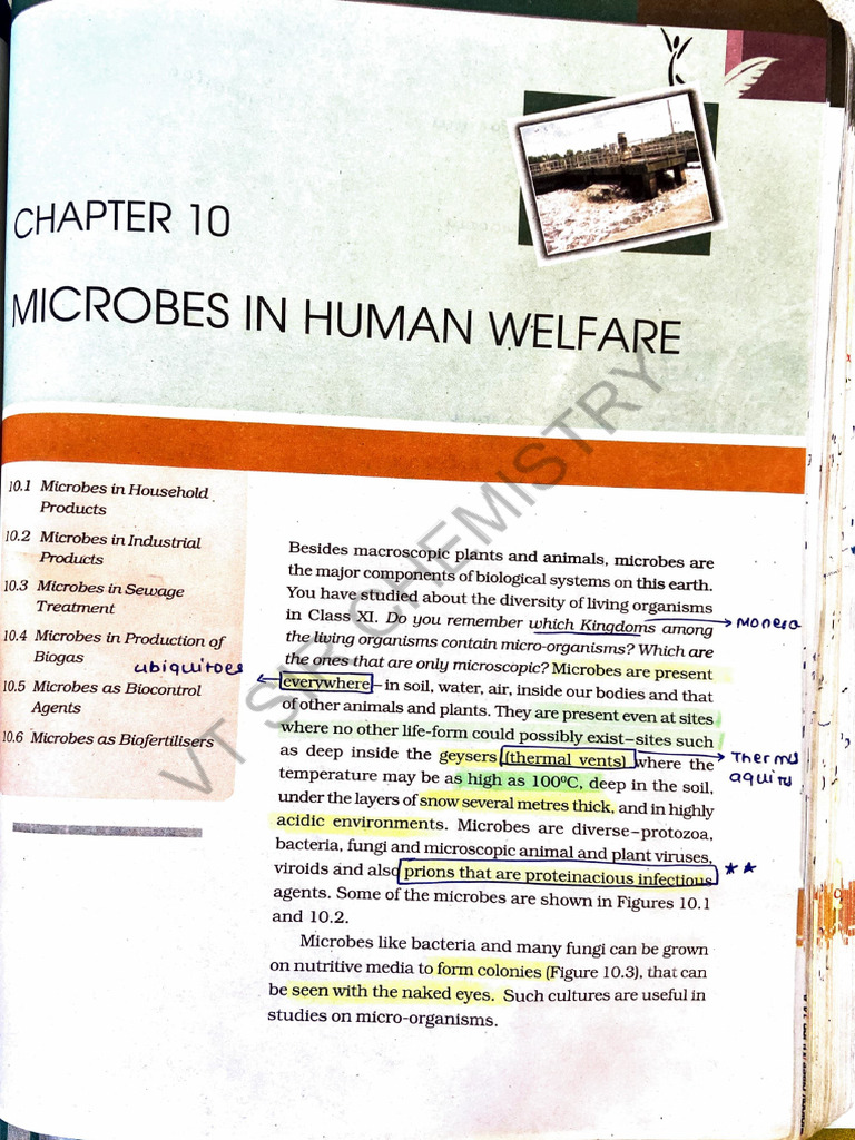 Microbes in human welfare NCERT _ | PDF