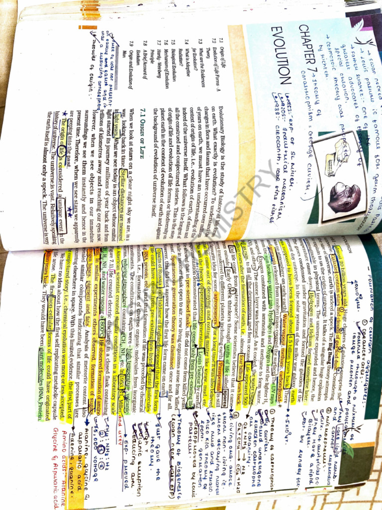 Evolution NCERT PDF | PDF