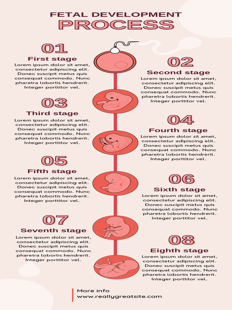 Pink Information Process Infographic - 20240925 - 212831 - 0000 | PDF