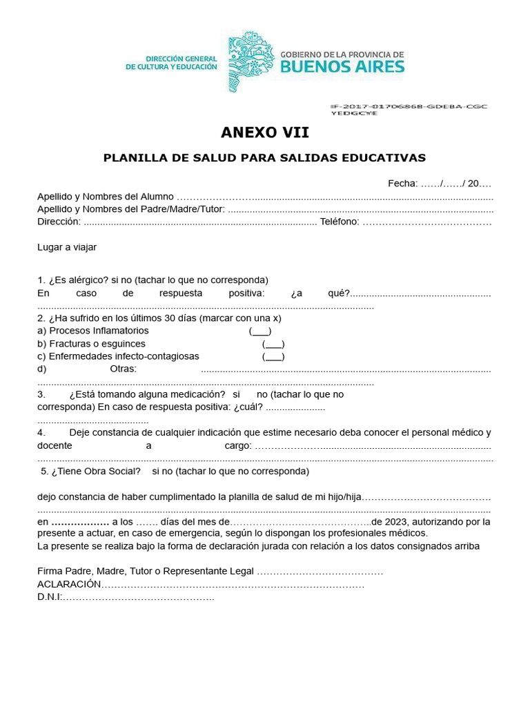 ANEXO VI y VII en Blanco | PDF