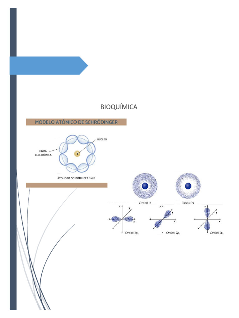 Bioquimica 2 YAEL | PDF