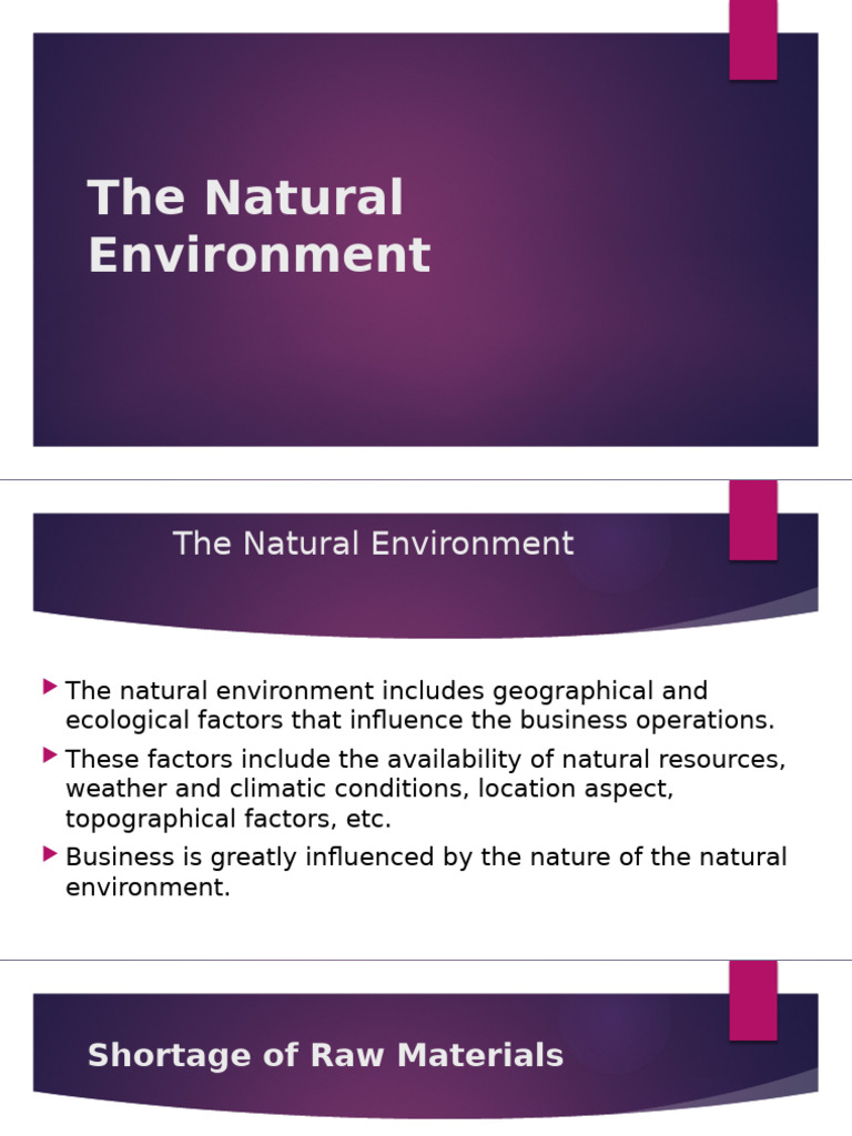 The Natural Environment | PDF