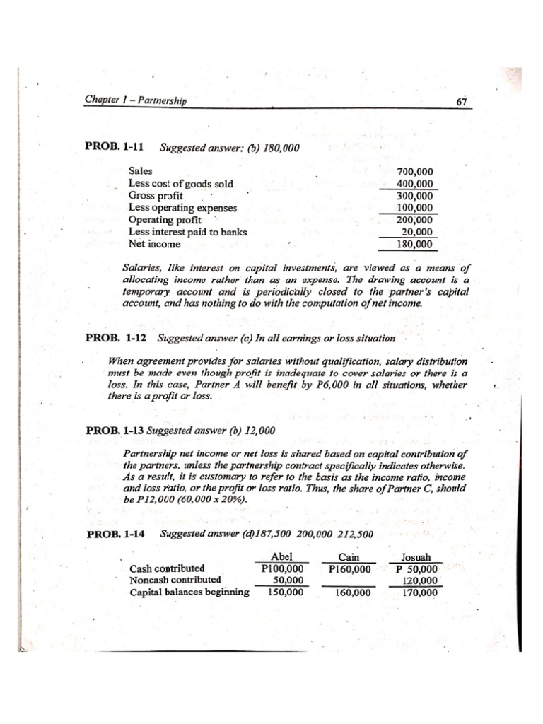 Partnership SOLMAN Punzalan | PDF