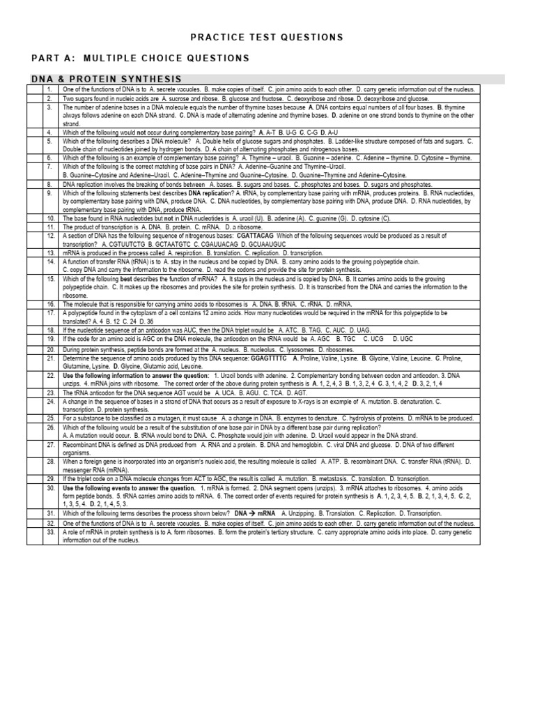 DNA and Protein Synthesis Practice Test | PDF | Translation (Biology ...