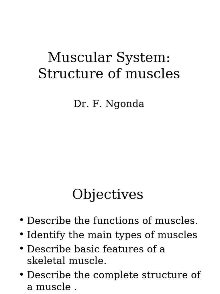 Muscular System, Structure of Muscles FBN | PDF