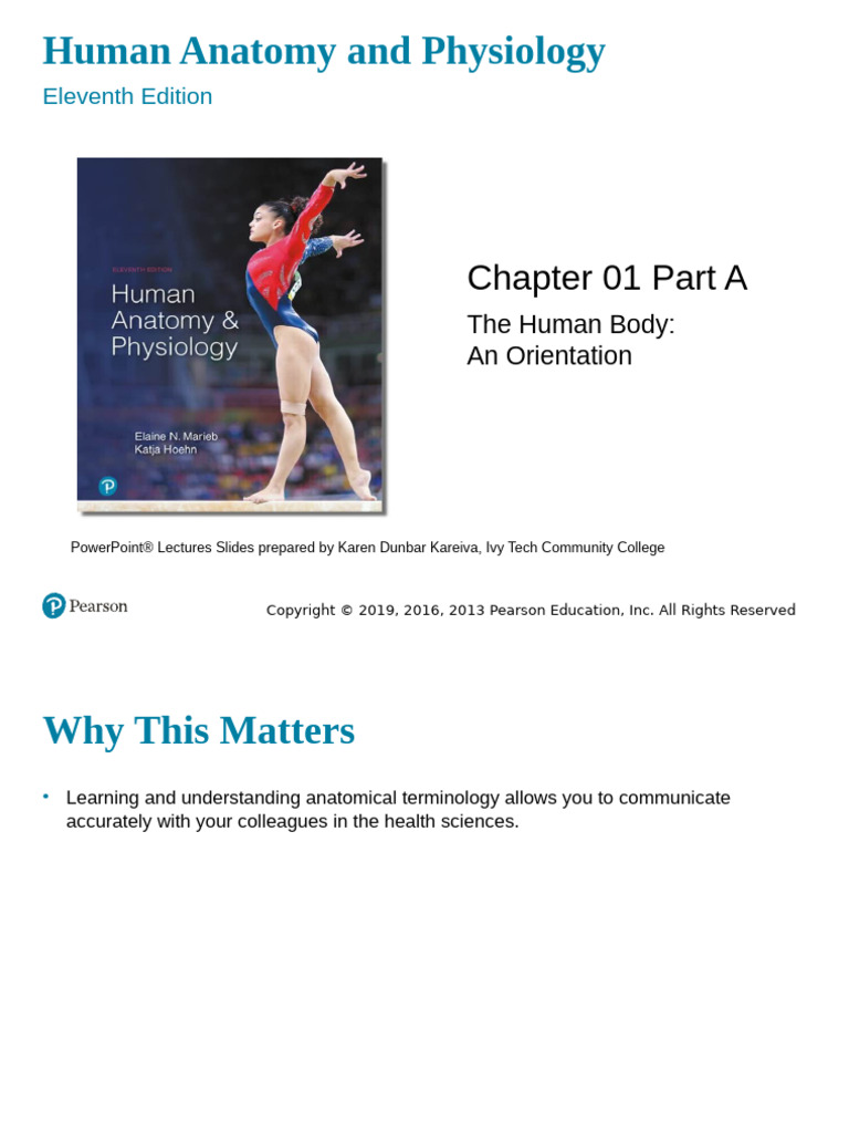 HAP - 11e - Lecture - CH 01A - Accessible Powerpoint BIO 168 | PDF