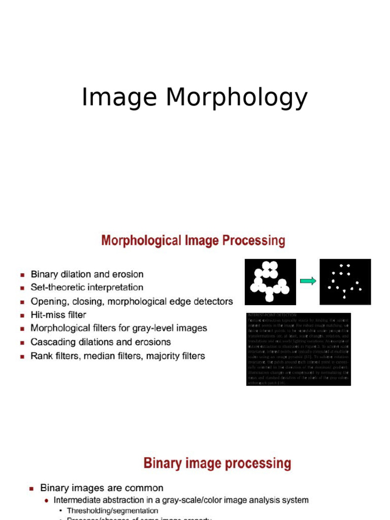 lecture 5-Morphology | PDF