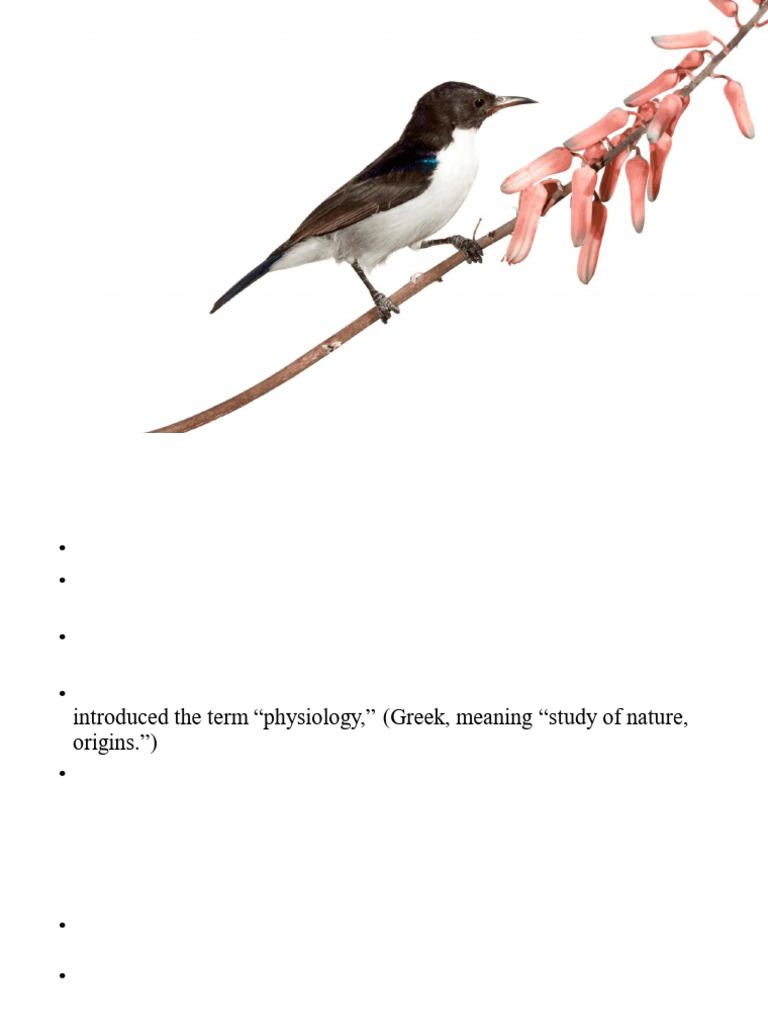 Intro - Functional Biology - Animal &plant Physiology (Core) | PDF