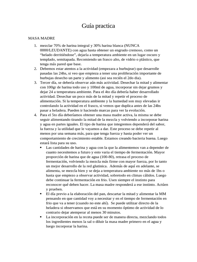 Guía Practica Masa Madre y Fermentos 25-9 | PDF