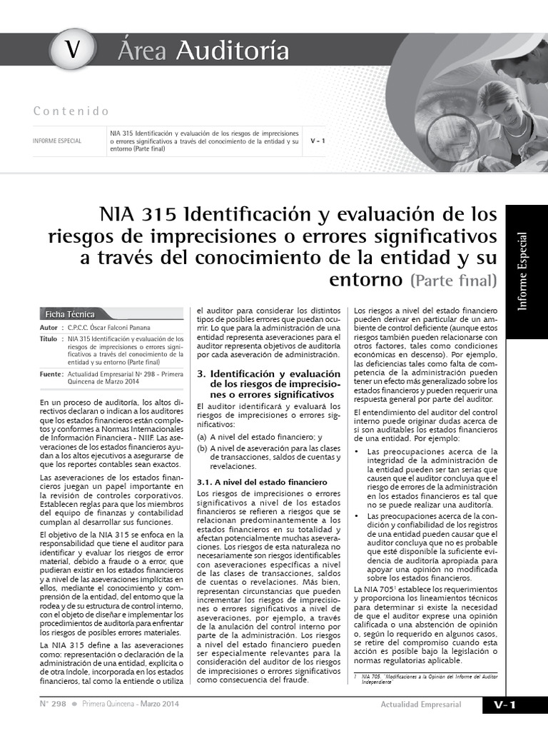 NIA 315 AREA AUDITORÍA | PDF