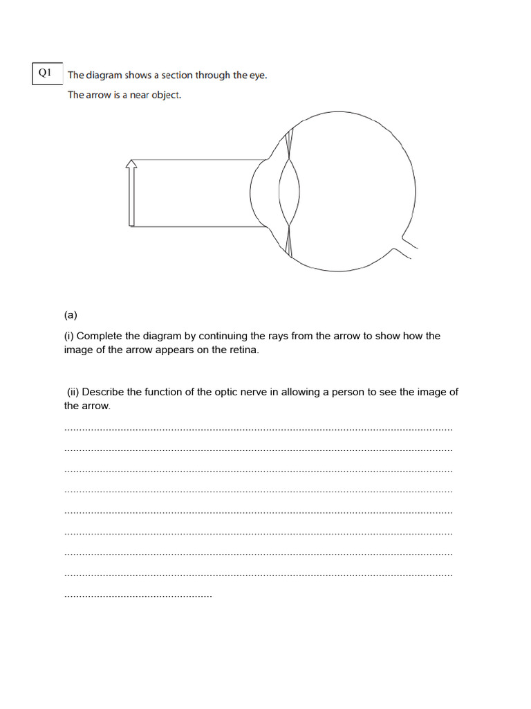 Year 10 Revision | PDF