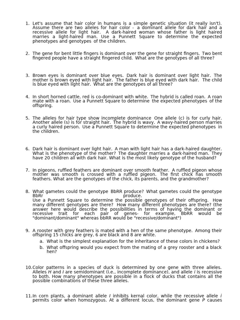 Mendelian Genetics Activity | PDF