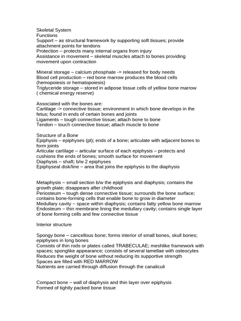 Skeletal System Pdf