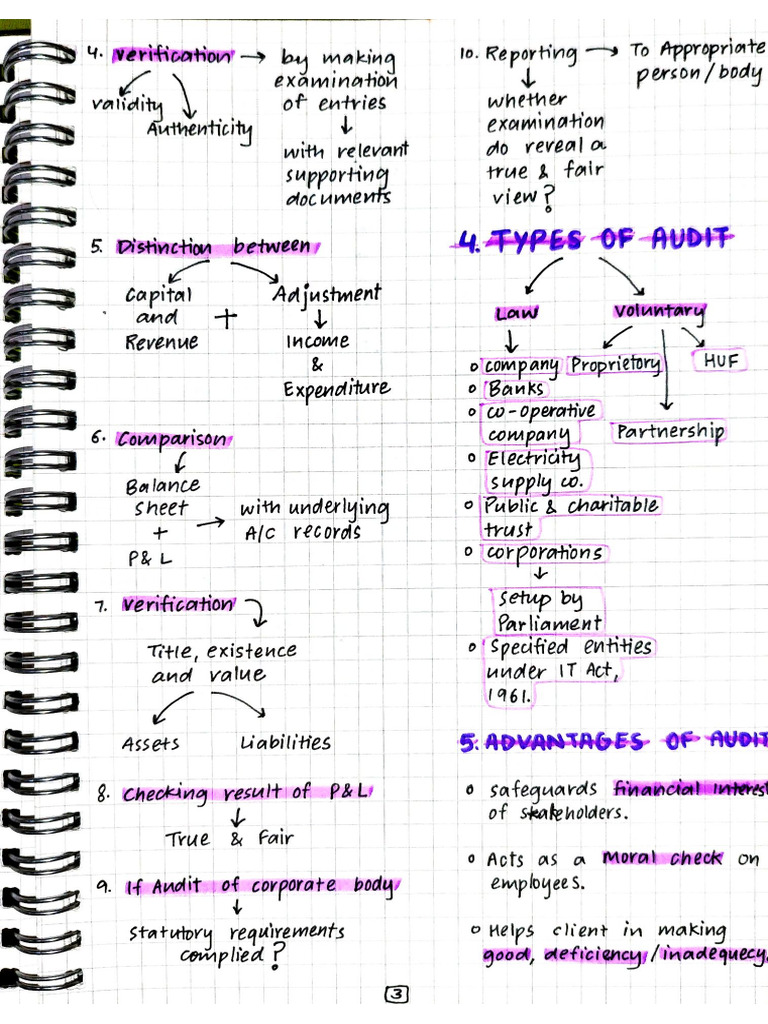 CA Inter Audit Notes | PDF