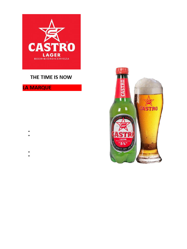 FICHE PRODUIT CASTRO | PDF