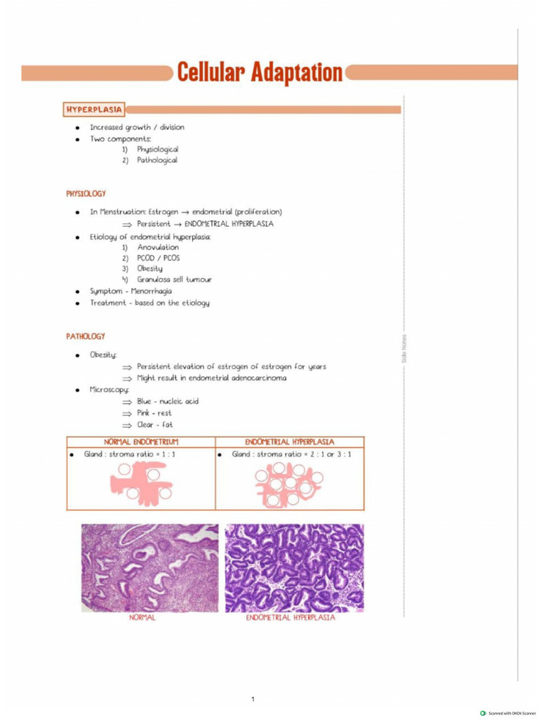 PW Pathology Notes | PDF