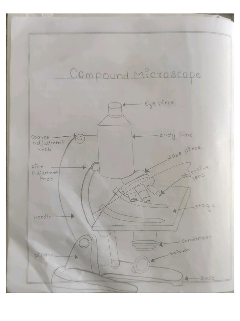 Microscope (Lab Manual) | PDF