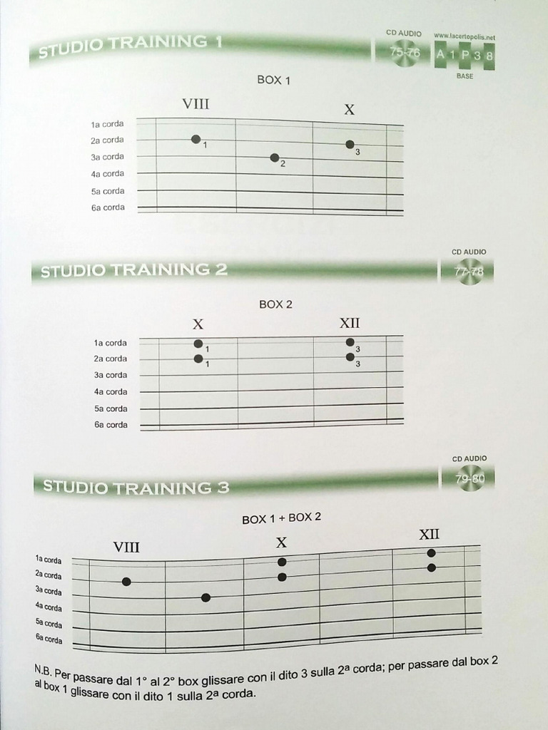 Strumming - D-Training | PDF