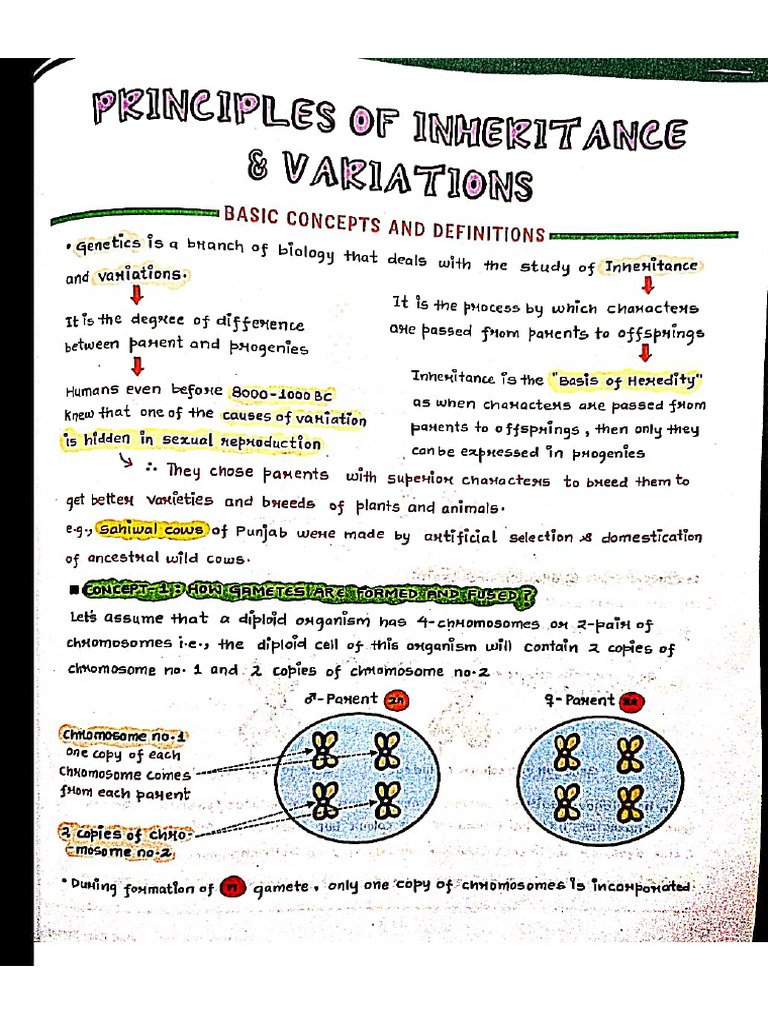 Botany Principle of Inheritance | PDF