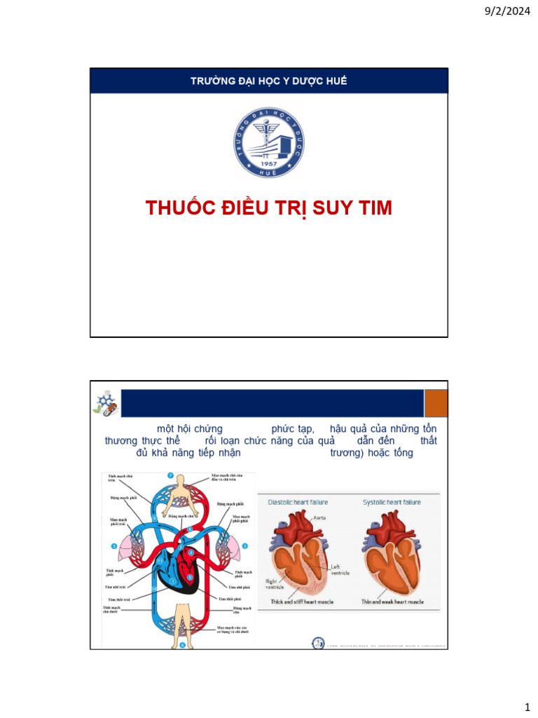 3.3. Tim Mach - Suy Tim | PDF