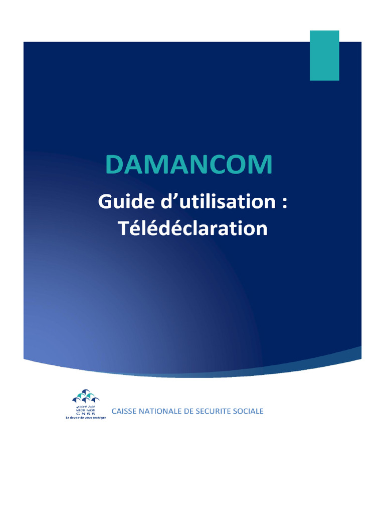 Guide D Utilisation Teledeclaration-1 | PDF