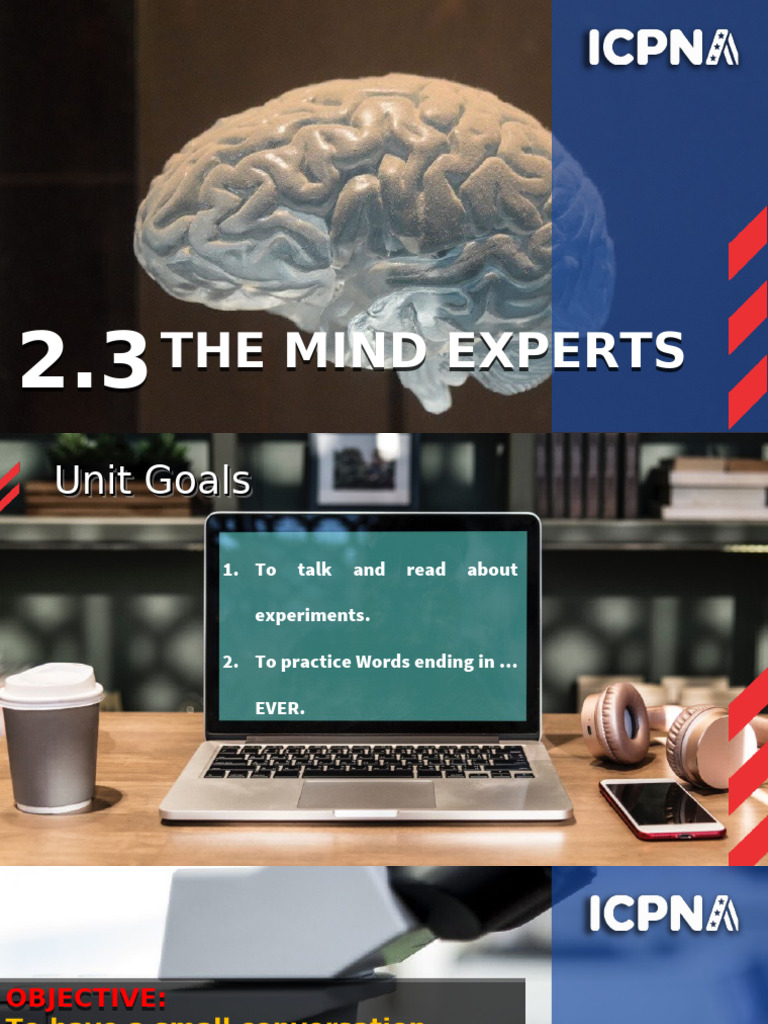 2.3 - The Mind Experts | PDF